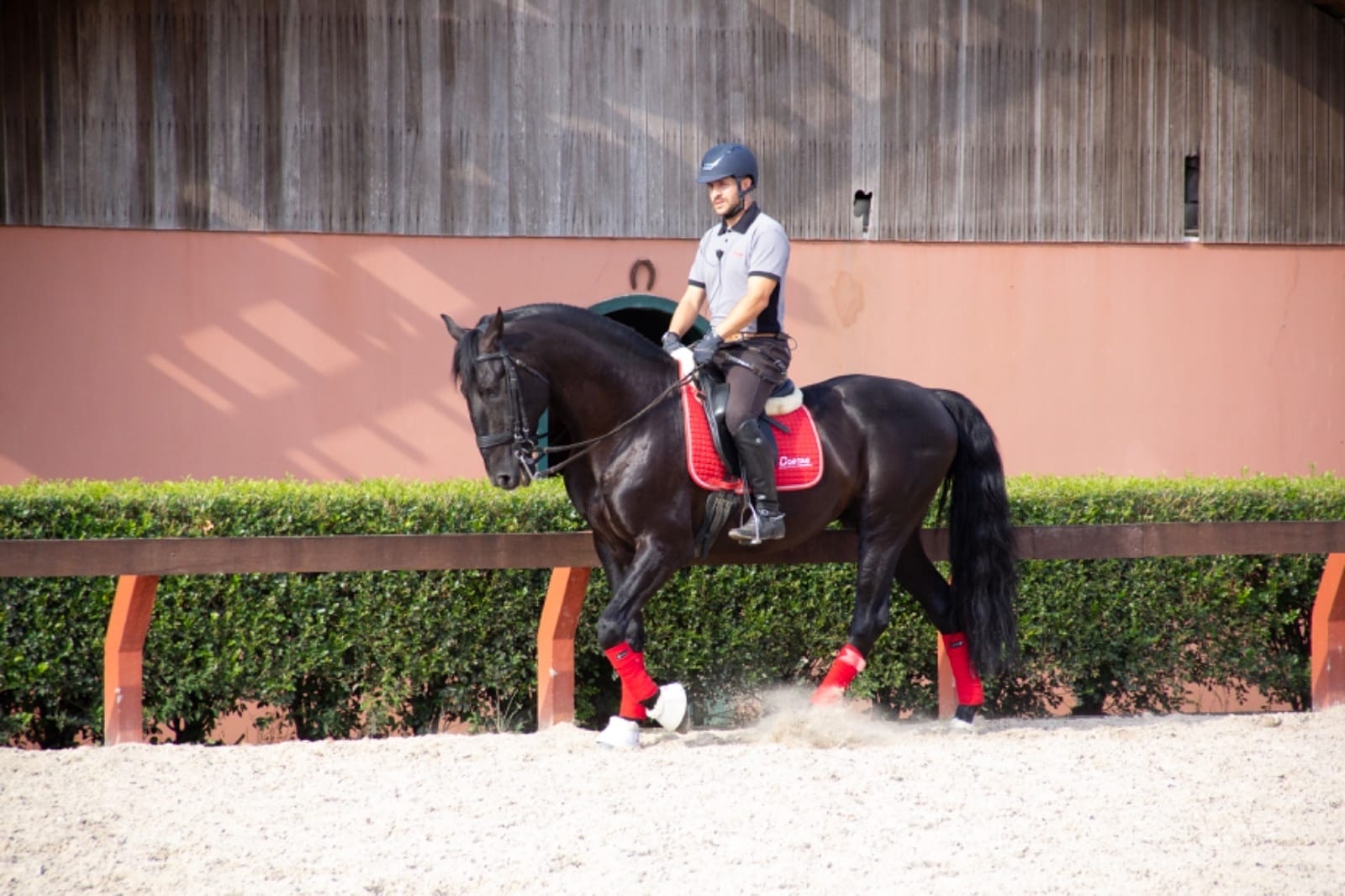 Rodolfo Lucas (Cavaleiro Paraequestre) - Cortag Revolution Tools